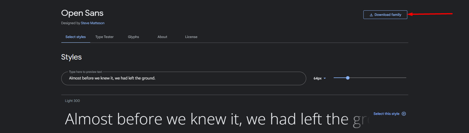 How To Easily Host Google Fonts Locally In WordPress - StaxWP